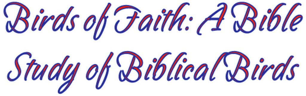 Birds of Faith font | Wings of Love